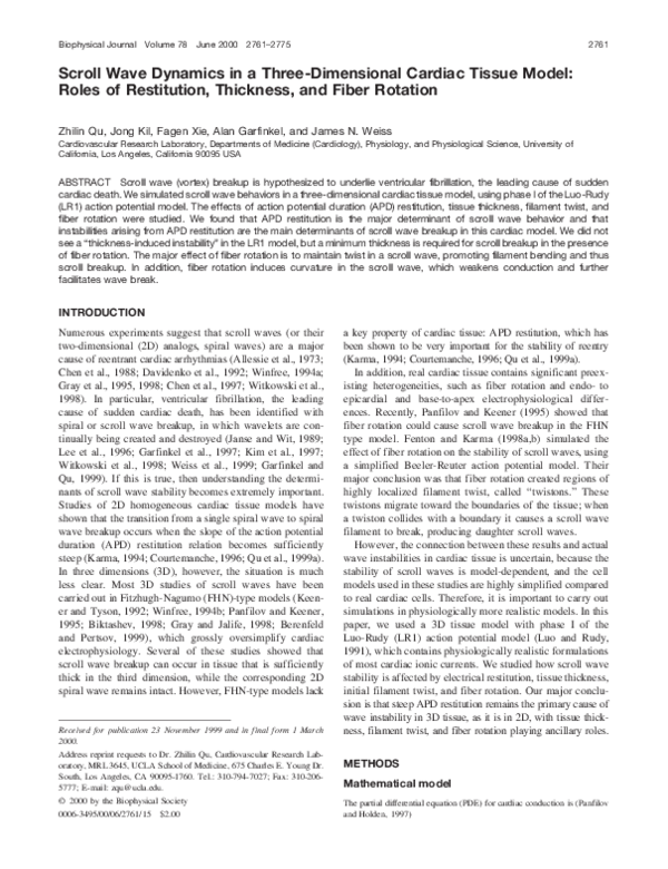 (PDF) Scroll wave turbulence | Vadim Biktashev - Academia.edu