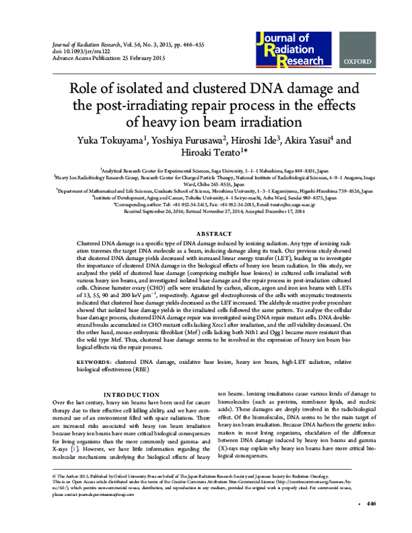 (PDF) Role of isolated and clustered DNA damage and the post ...