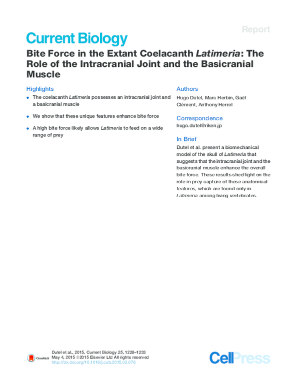 (PDF) Bite Force in the Extant Coelacanth Latimeria: The Role of the ...