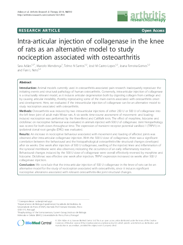 (PDF) Intra-articular injection of collagenase in the knee of rats as ...