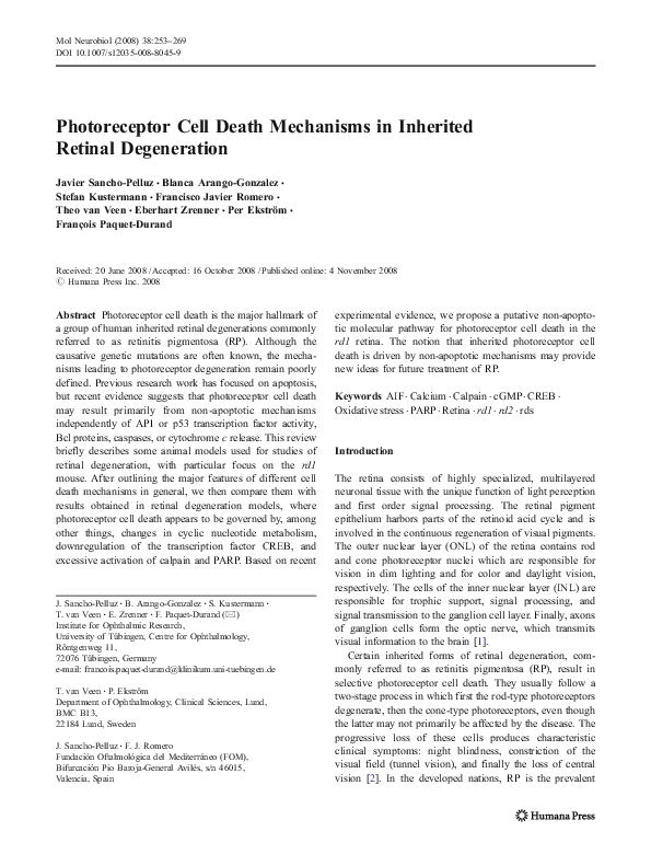 (PDF) Photoreceptor cell death and rescue in retinal detachment and ...