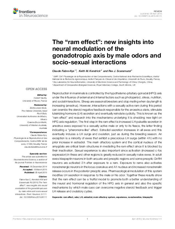 (PDF) The "ram effect": new insights into neural modulation of the ...
