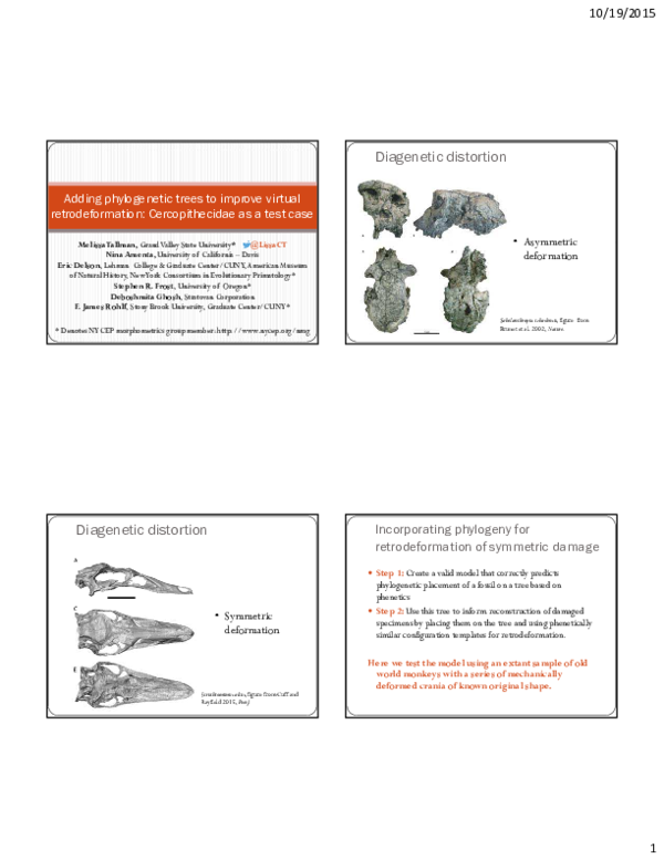 (PDF) Adding phylogenetic trees to improve virtual retrodeformation ...