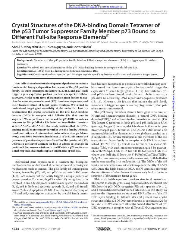 (PDF) Crystal Structures of the DNA-binding Domain Tetramer of the p53 ...
