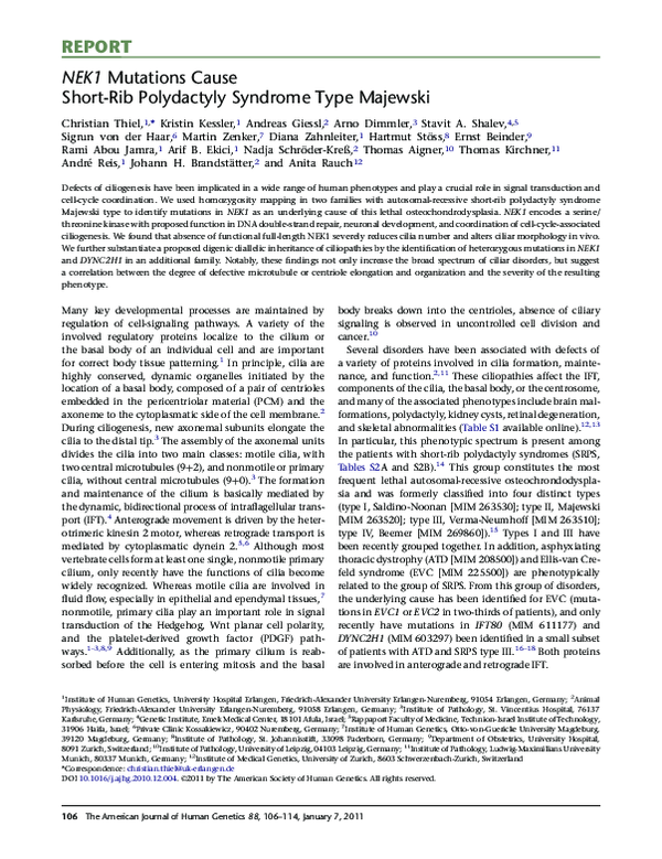 (PDF) NEK1 Mutations Cause Short-Rib Polydactyly Syndrome Type Majewski