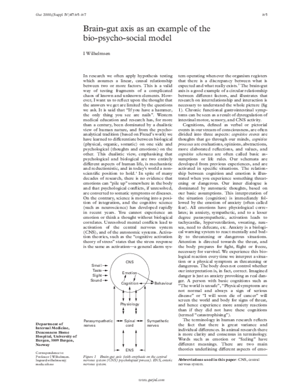 (PDF) Brain-gut axis as an example of the bio-psycho-social model