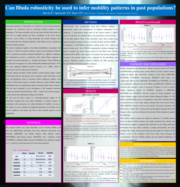 (PDF) Poster presentation final