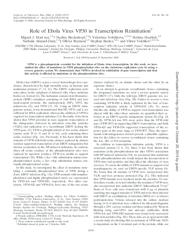 (PDF) Role of Ebola Virus VP30 in Transcription Reinitiation | O ...