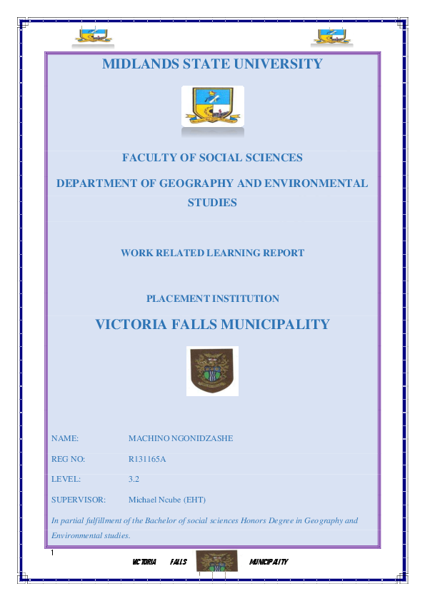 (PDF) Ngonidzashe Machino's Work Related Learning report