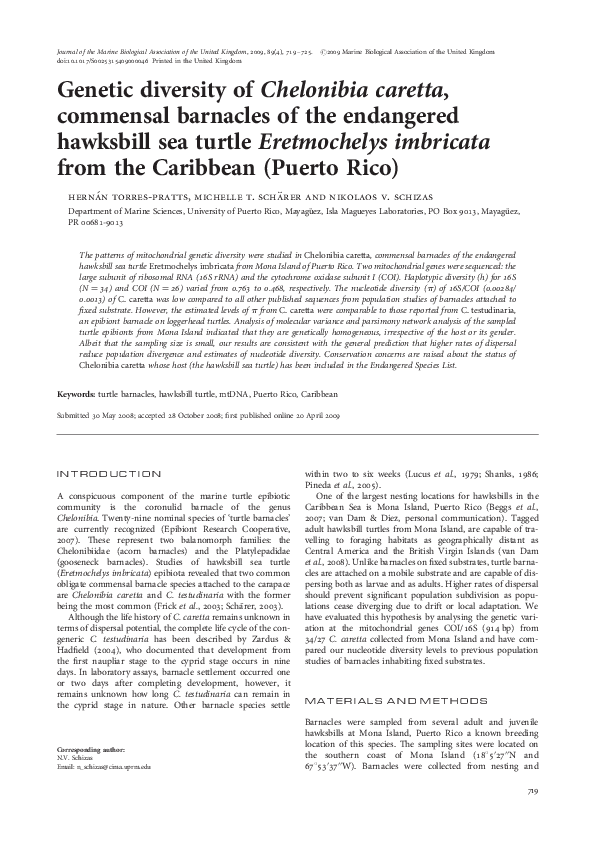 (PDF) Genetic diversity of Chelonibia caretta, commensal barnacles of ...