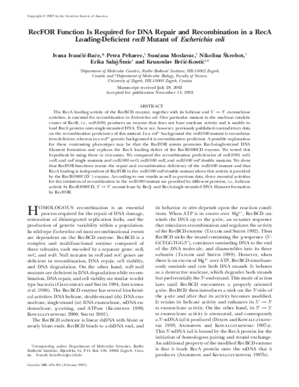 (PDF) RecFOR function is required for DNA repair and recombination in a ...