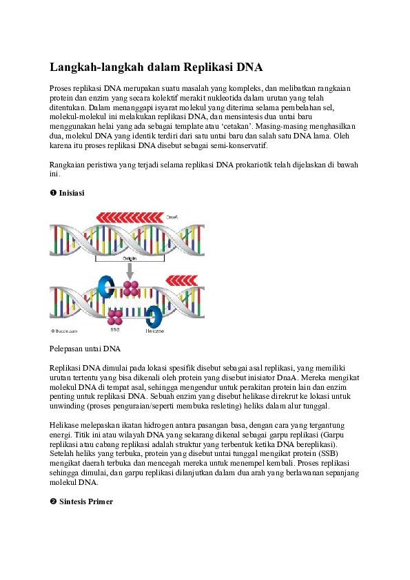 (DOC) Replikasi DNA