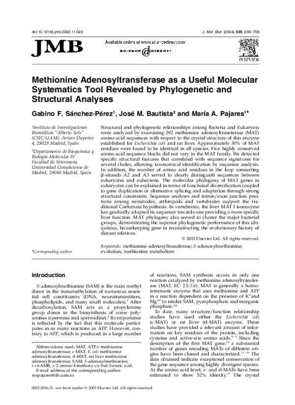 (PDF) Methionine Adenosyltransferase as a Useful Molecular Systematics ...