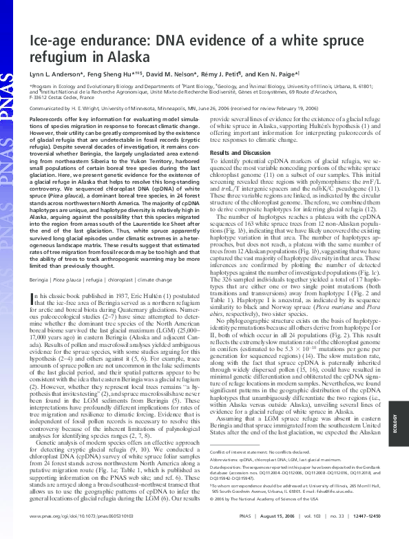 Ice-age endurance: DNA evidence of a white spruce refugium in Alaska