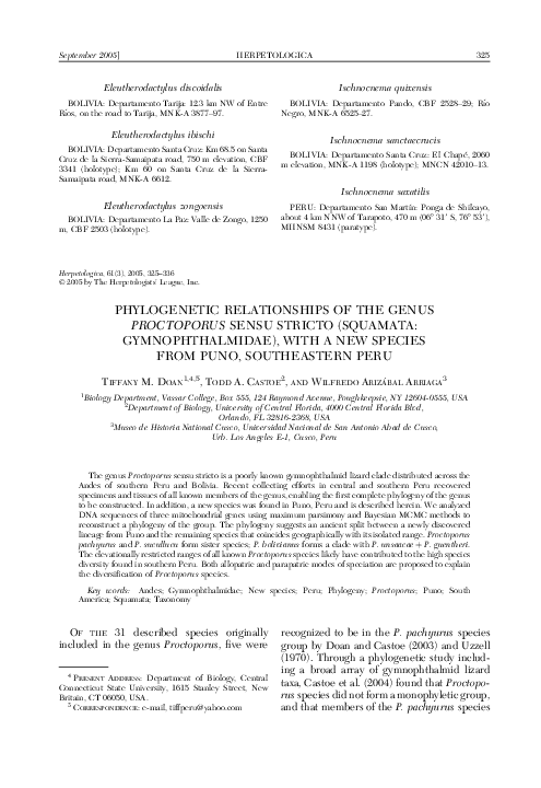 (PDF) PHYLOGENETIC RELATIONSHIPS OF THE GENUS PROCTOPORUS SENSU STRICTO ...