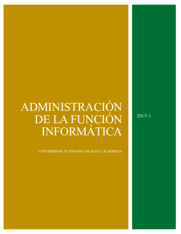 (PDF) Administración de la Función Informática