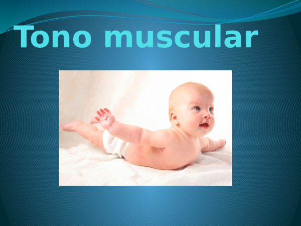 (PPT) Tono muscular