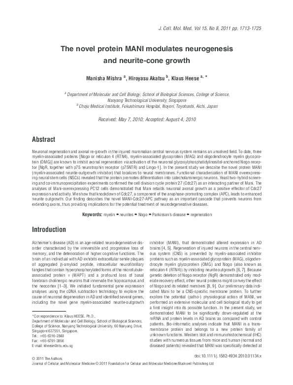 (PDF) The novel protein MANI modulates neurogenesis and neurite-cone ...