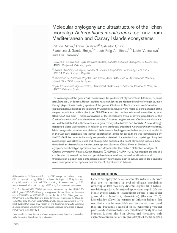 (PDF) Molecular phylogeny and ultrastructure of the lichen microalga ...
