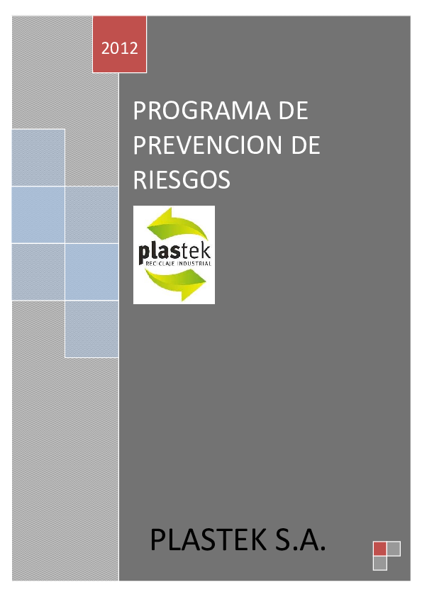 (PDF) Programa de prevencion de riesgos