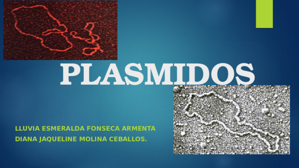 (PPT) PLASMIDOS