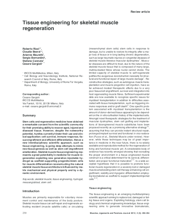 (PDF) Development of a novel smart scaffold for human skeletal muscle ...