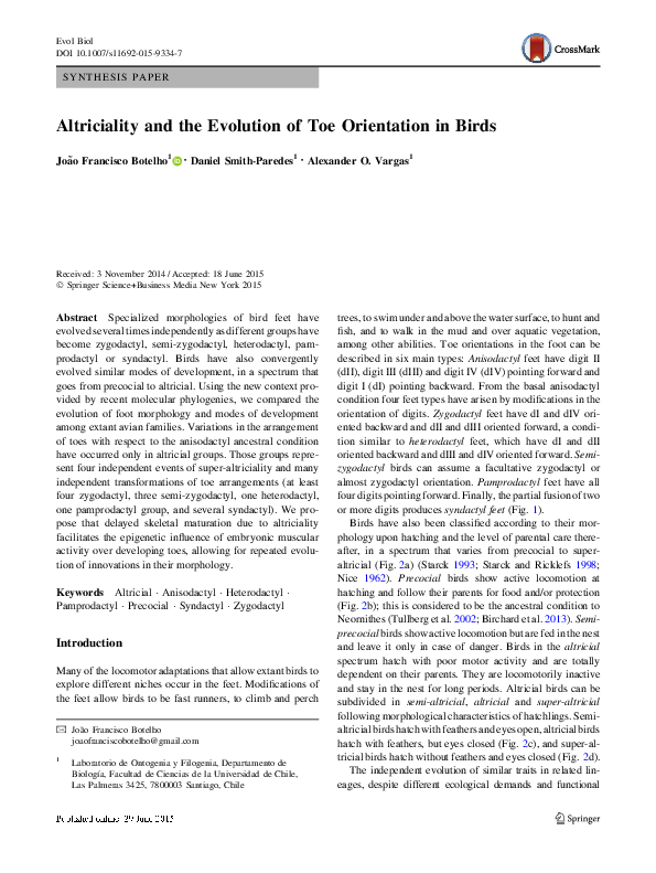 (PDF) Altriciality and the Evolution of Toe Orientation in Birds