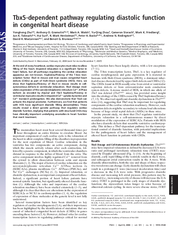 (PDF) Tbx5-dependent pathway regulating diastolic function in ...