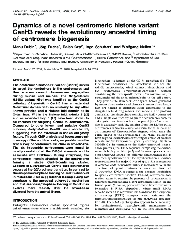 (PDF) Dynamics of a novel centromeric histone variant CenH3 reveals the ...