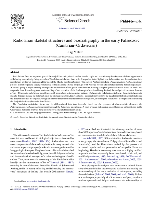 (PDF) Radiolarian skeletal structures and biostratigraphy in the early Palaeozoic (Cambrian ...