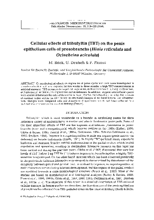 (PDF) Cellular effects of tributyltin (TBT) on the penis epithelium ...