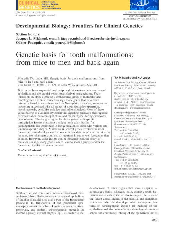 (PDF) Genetic basis for tooth malformations: from mice to men and back ...