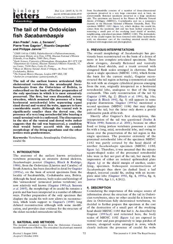 (PDF) The tail of the Ordovician fish Sacabambaspis