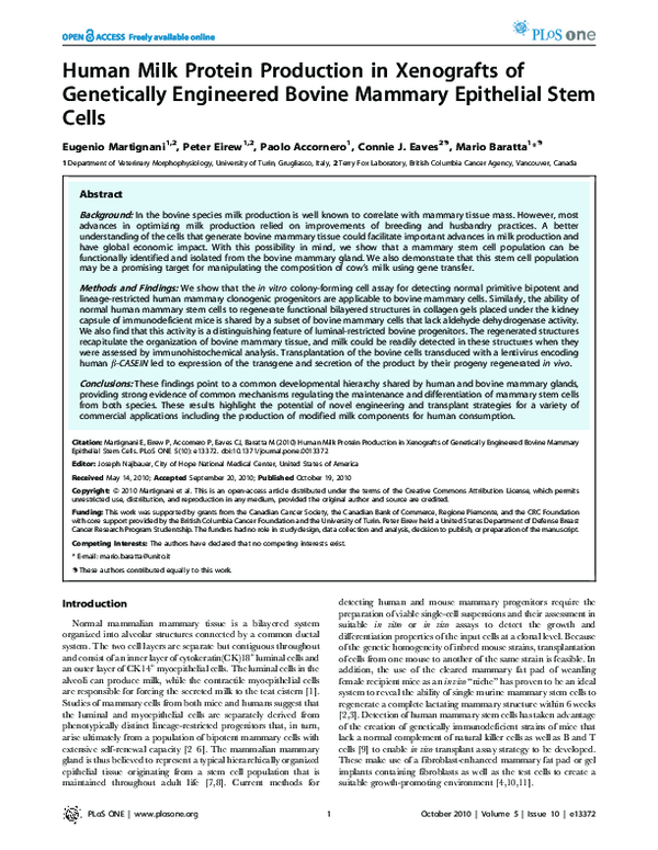 (PDF) Human Milk Protein Production in Xenografts of Genetically ...