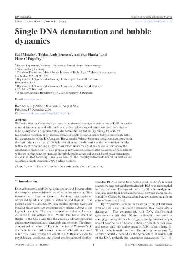 (PDF) Single DNA denaturation and bubble dynamics
