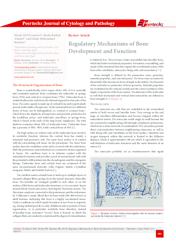 (PDF) Regulatory Mechanisms of Bone Development and Function