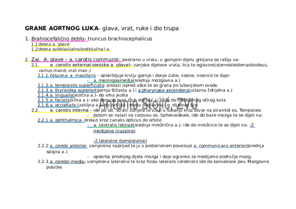 (DOC) Krvožilni sustav arterija(umna mapa)-glave i vrata, ramena i ruke ...