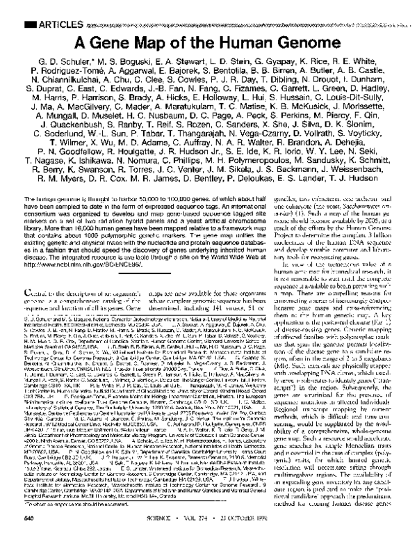 (PDF) A Gene Map of the Human Genome