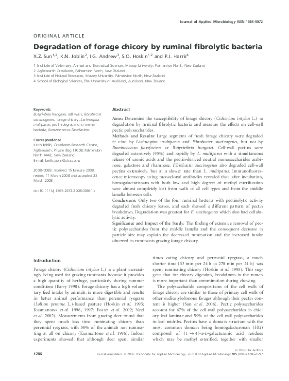 (PDF) Degradation of forage chicory by ruminal fibrolytic bacteria
