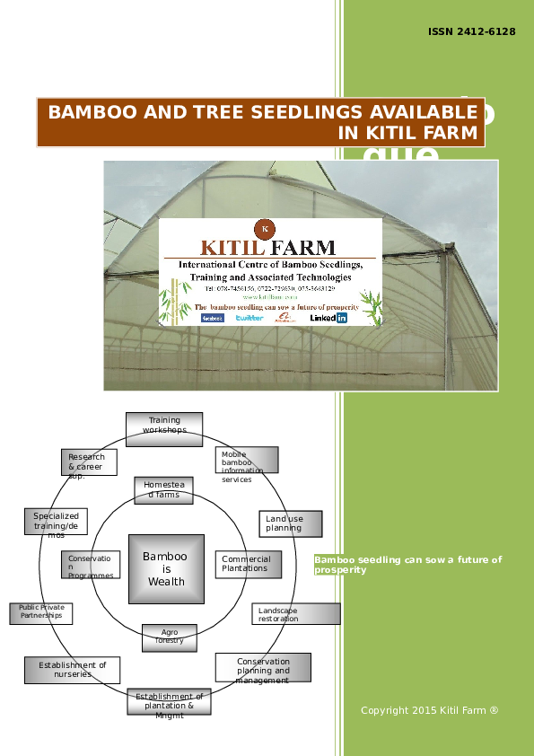 (DOC) Catalogue of bamboo seedlings available in Kitil Farm