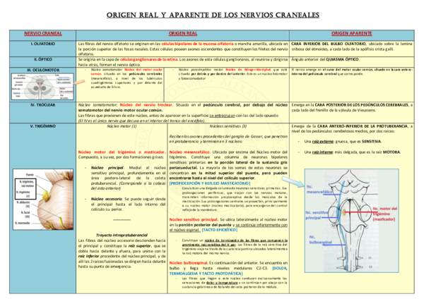 (PDF) Pares craneales DEF