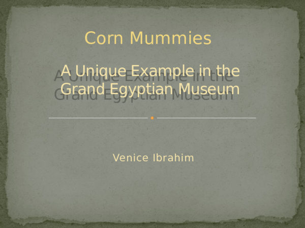 Corn ( Grain )Mummies ,Study Paper Of A Unique Example in the Grand ...