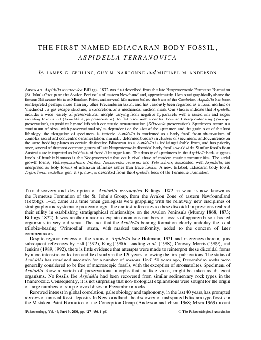 (PDF) The first named Ediacaran body fossil, Aspidella Terranovica
