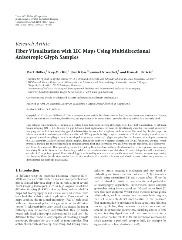 (PDF) Fiber Visualization with LIC Maps Using Multidirectional ...