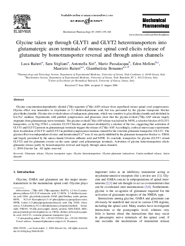 (PDF) Glycine taken up through GLYT1 and GLYT2 heterotransporters into ...