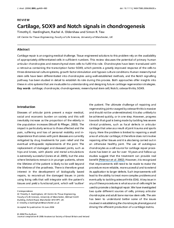 (PDF) Cartilage, SOX9 and Notch signals in chondrogenesis