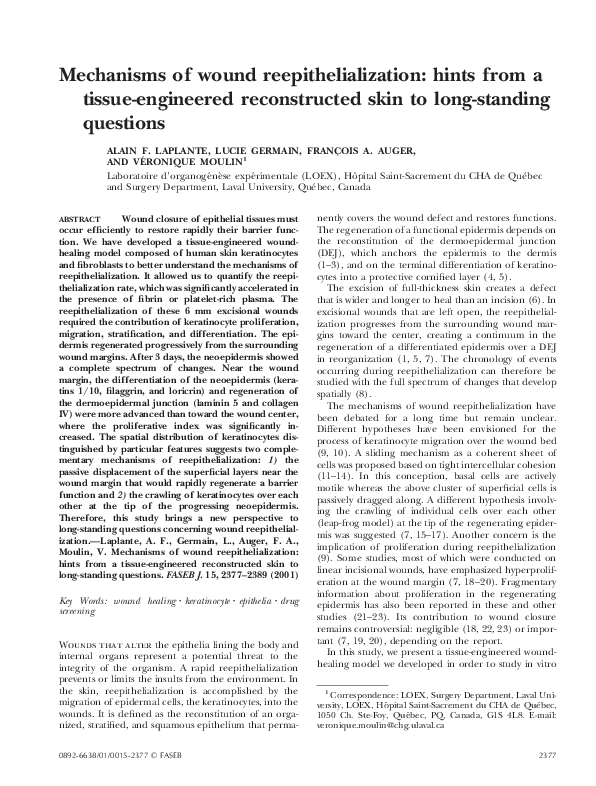 (PDF) Demonstration of re-epithelialization in a bioprinted human skin ...
