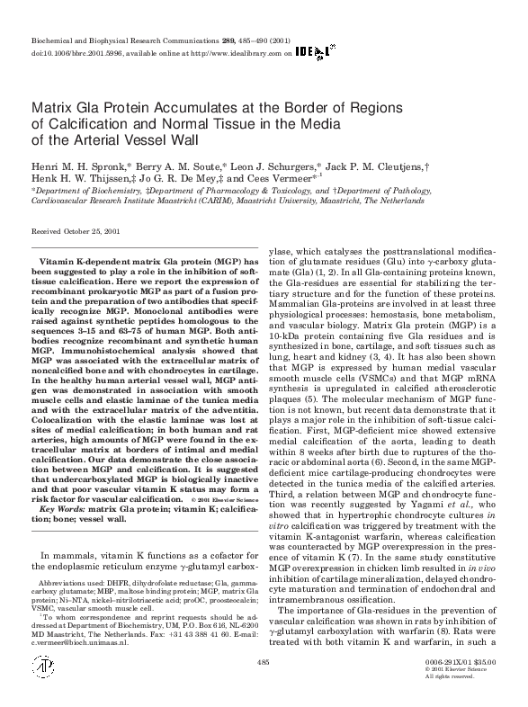 (PDF) Matrix Gla Protein Accumulates at the Border of Regions of ...