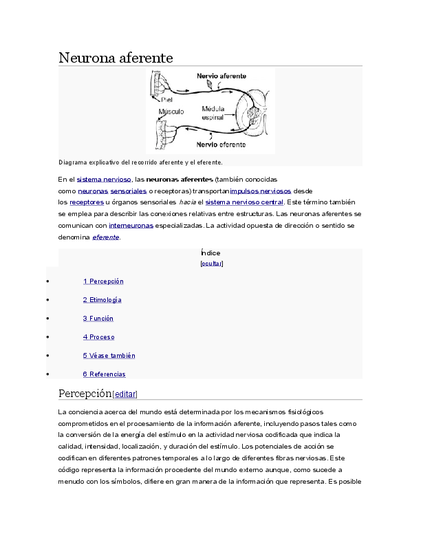(DOC) Neurona aferente