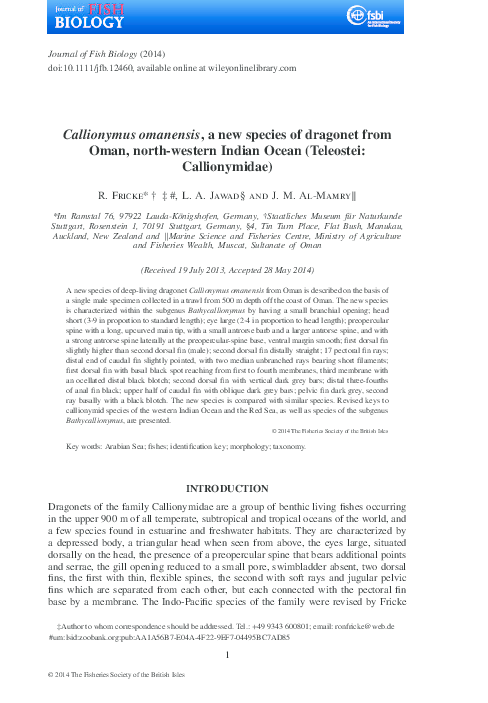 (PDF) Callionymus omanensis , a new species of dragonet from Oman ...